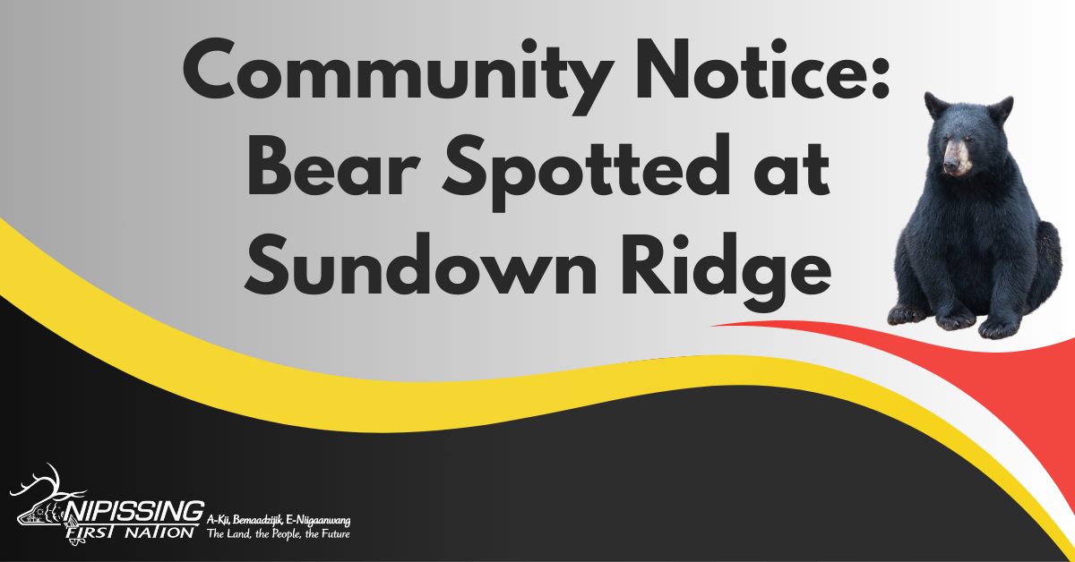 Community Notice: Bear Spotted at Sundown Ridge » Nipissing First Nation